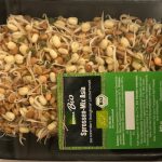 Rückruf: Salmonellen – Hersteller ruft EDEKA Bio „Sprossen-Mix Asia ...